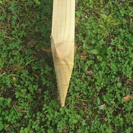 Setting/Marking Out Stake - 600x50x50mm