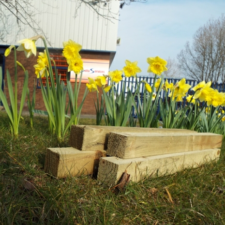 Raised Bed Post - 2ft