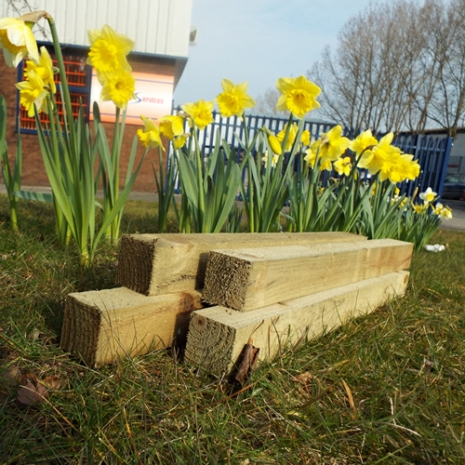 Raised Bed Post - 2ft